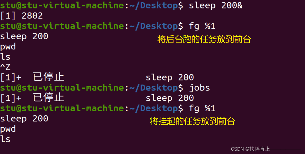 轻松掌握进程管理技巧：linux查看进程pid的命令！ Linux命令大全手册